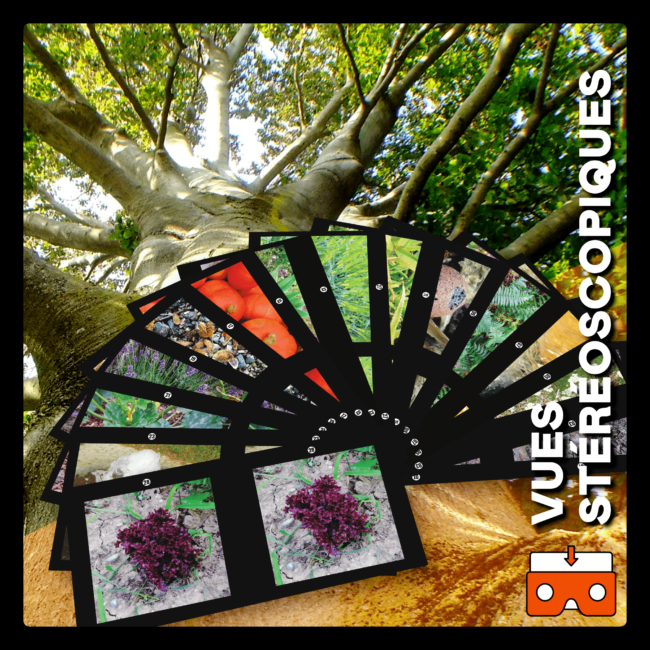 Cartoscope.fr – Voir le monde en profondeur